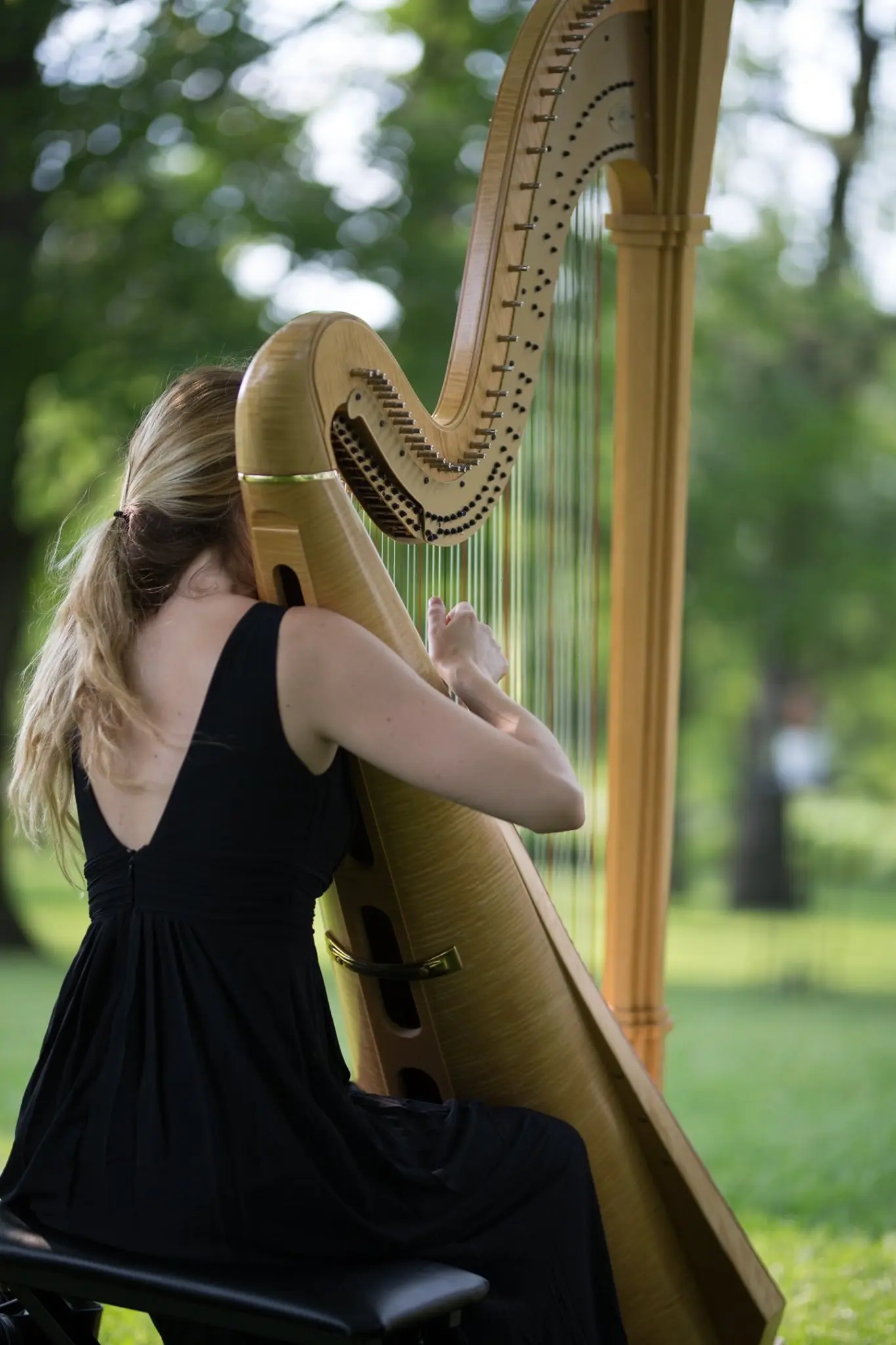 Harp - By Colleen