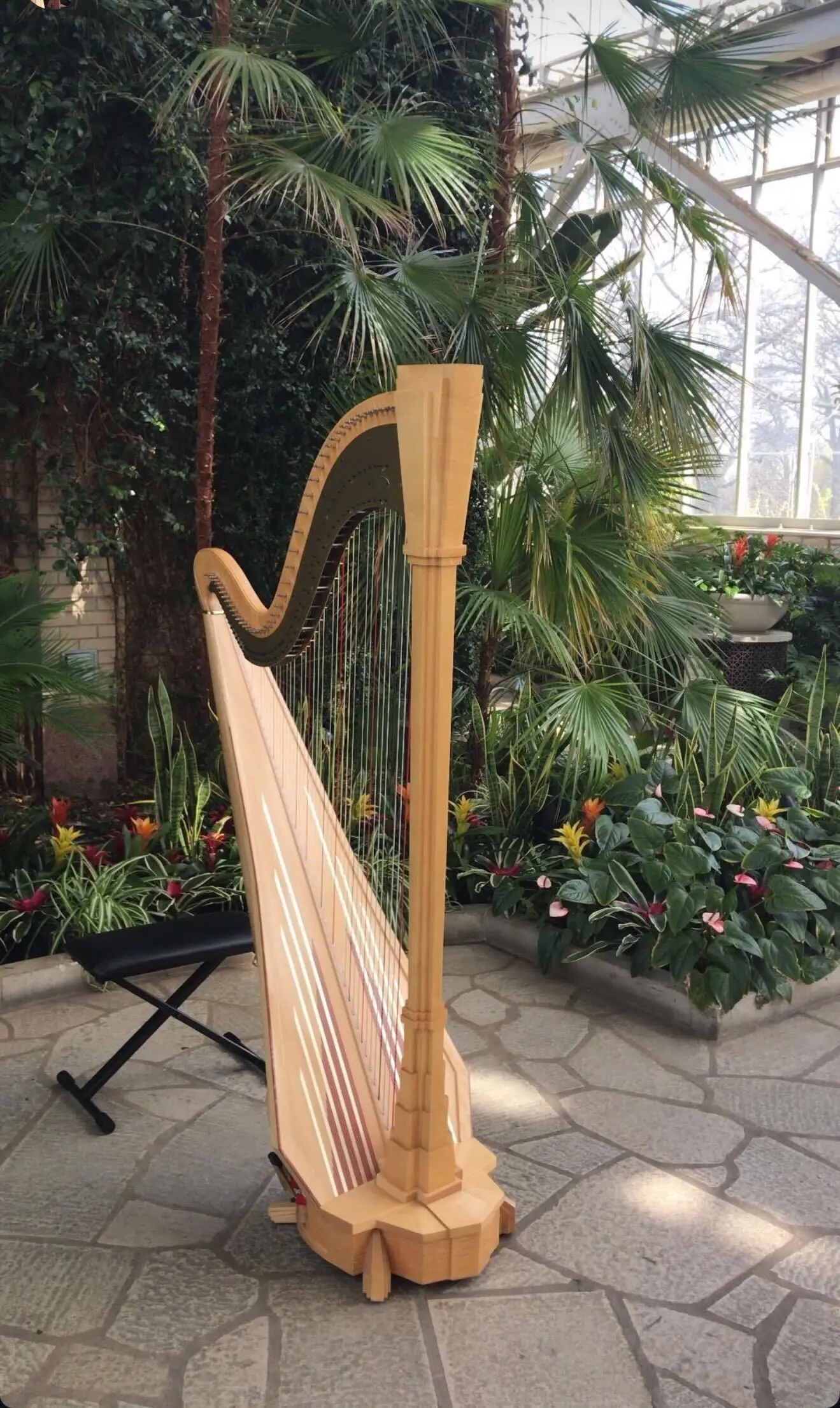 Harp - By Colleen